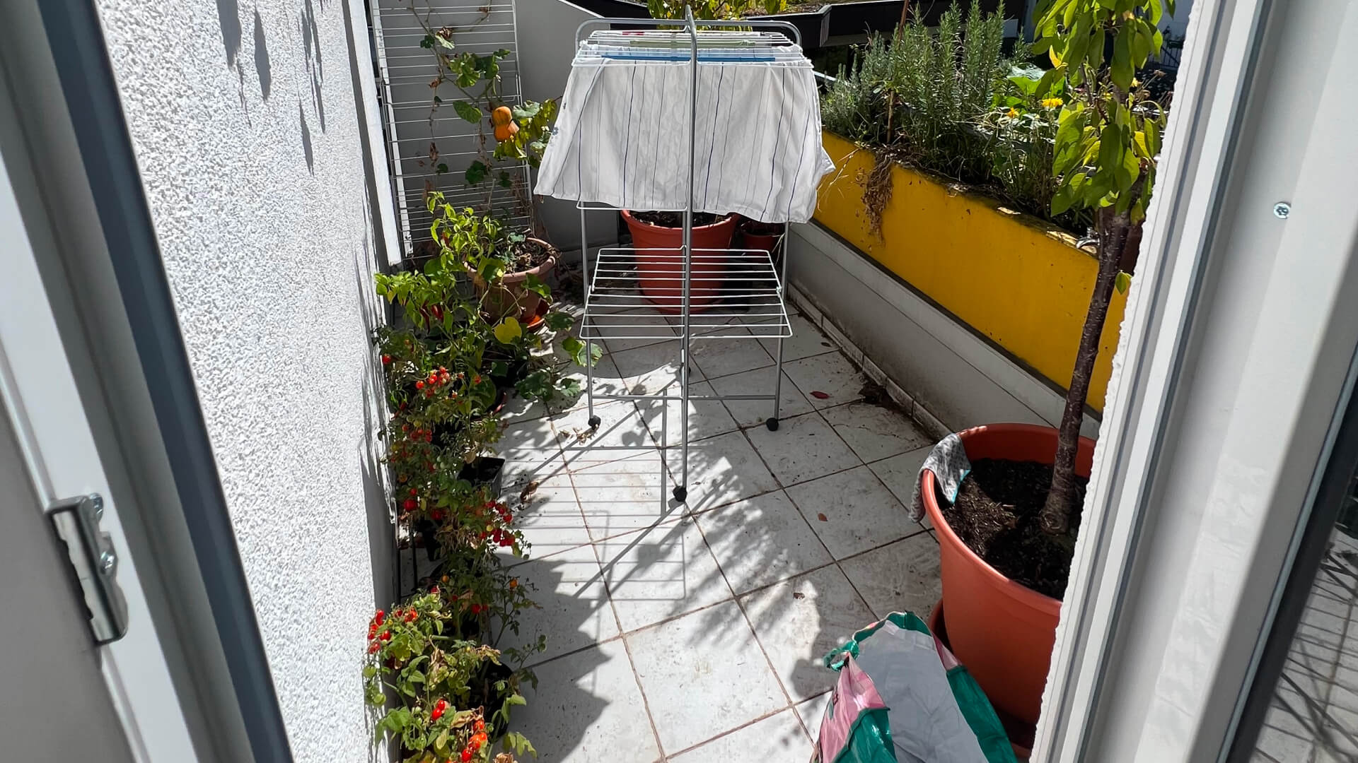 Blog: Balkon 3 Alt DE – Crewz